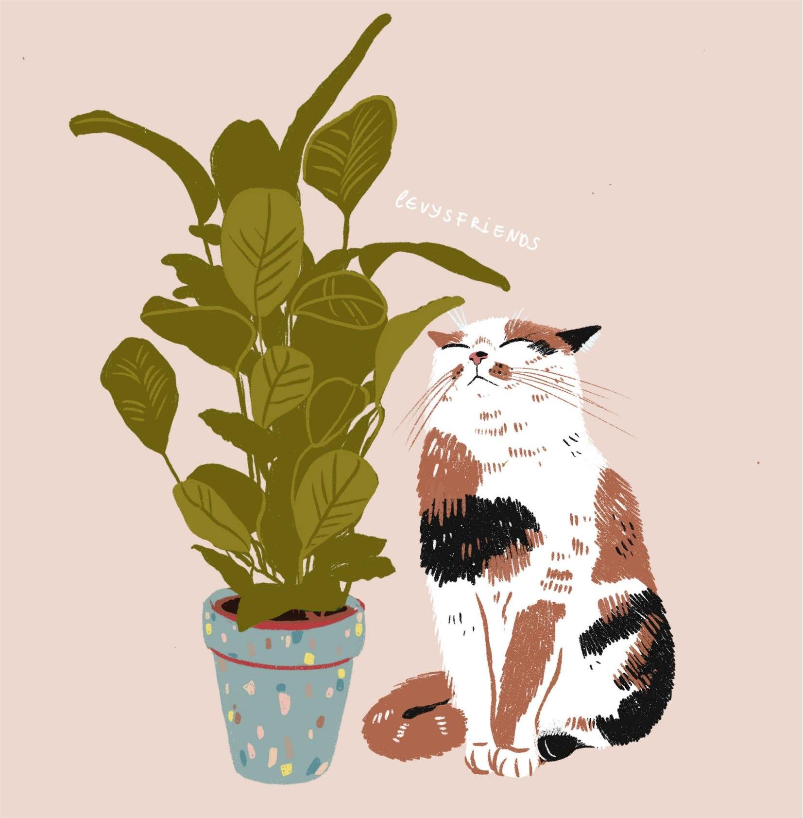 Alisa Levytsky 版权画 - 麦家星球